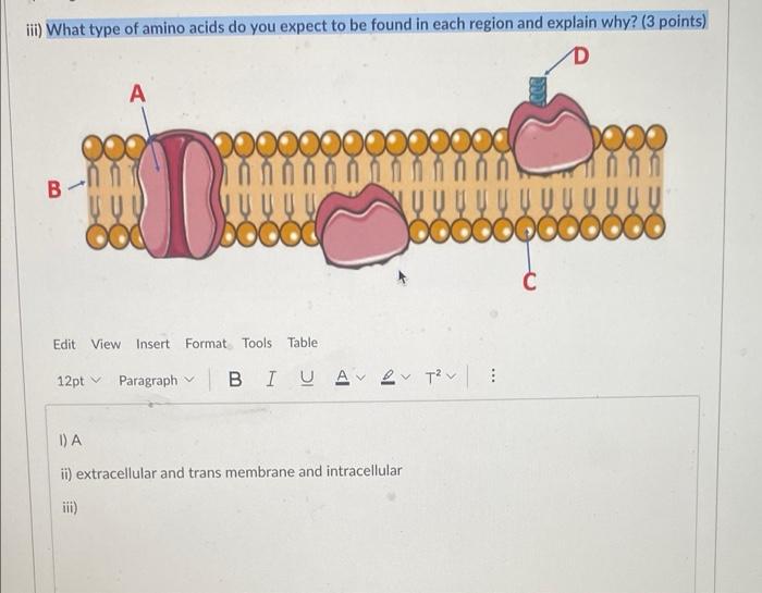 Solved iii) What type of amino acids do you expect to be | Chegg.com