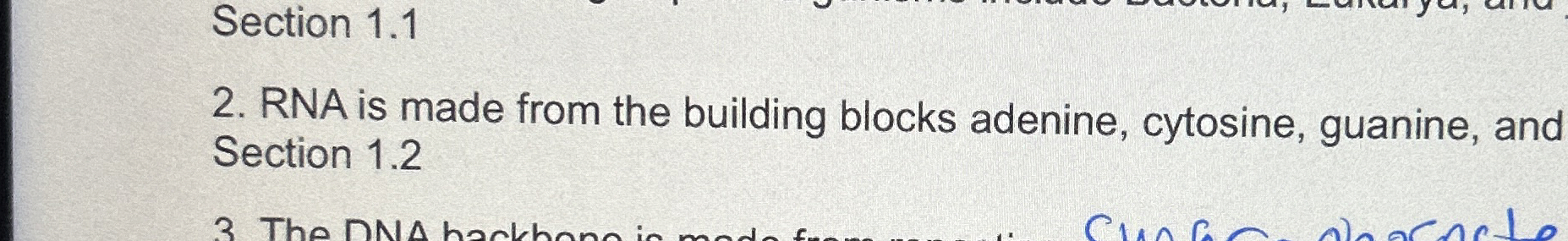 Solved 2. ﻿RNA is made from the building blocks adenine, | Chegg.com