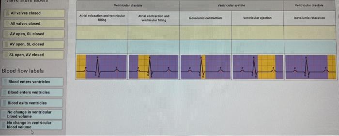 Blood flow labels Valve state labels All valves | Chegg.com