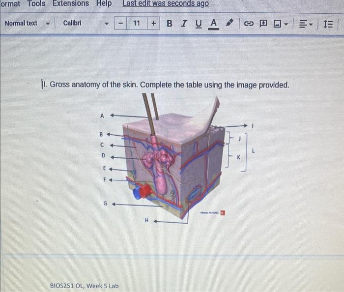 Solved OL. Lab 5: Integumentary system Leaining Objectives: | Chegg.com
