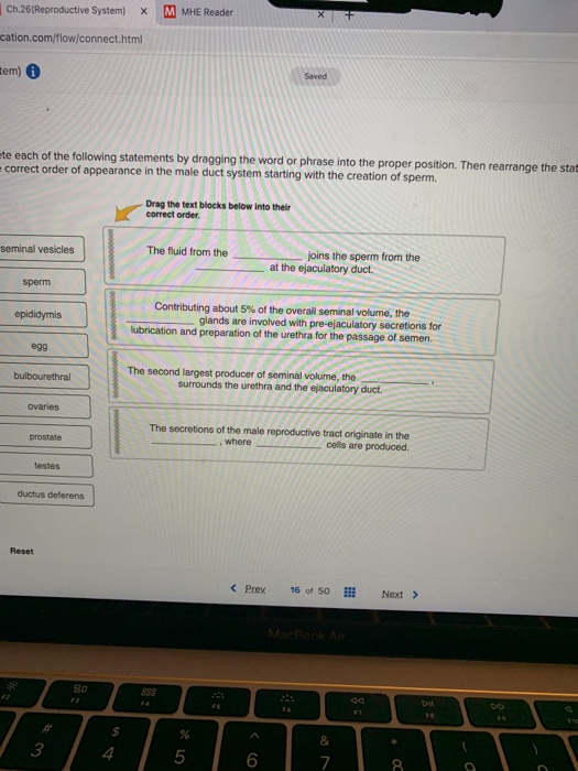 Solved Ch.26 (Reproductive System) X M MHE Reader | Chegg.com