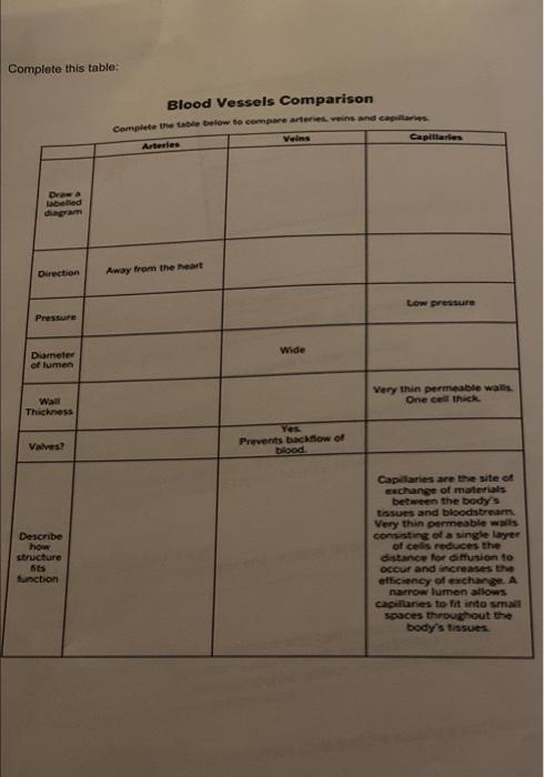Arteries Veins And Capillaries Comparison