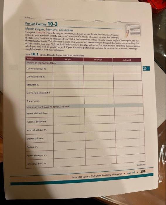 Lab Objectivesweek 7docx Exercise 11 Articulations And Body