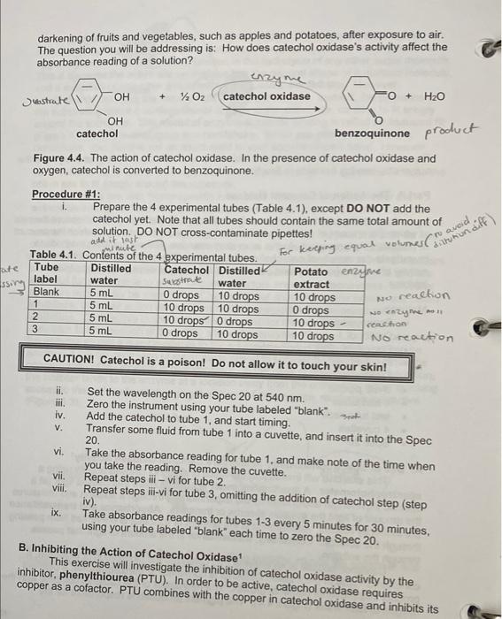 Solved darkening of fruits and vegetables, such as apples | Chegg.com