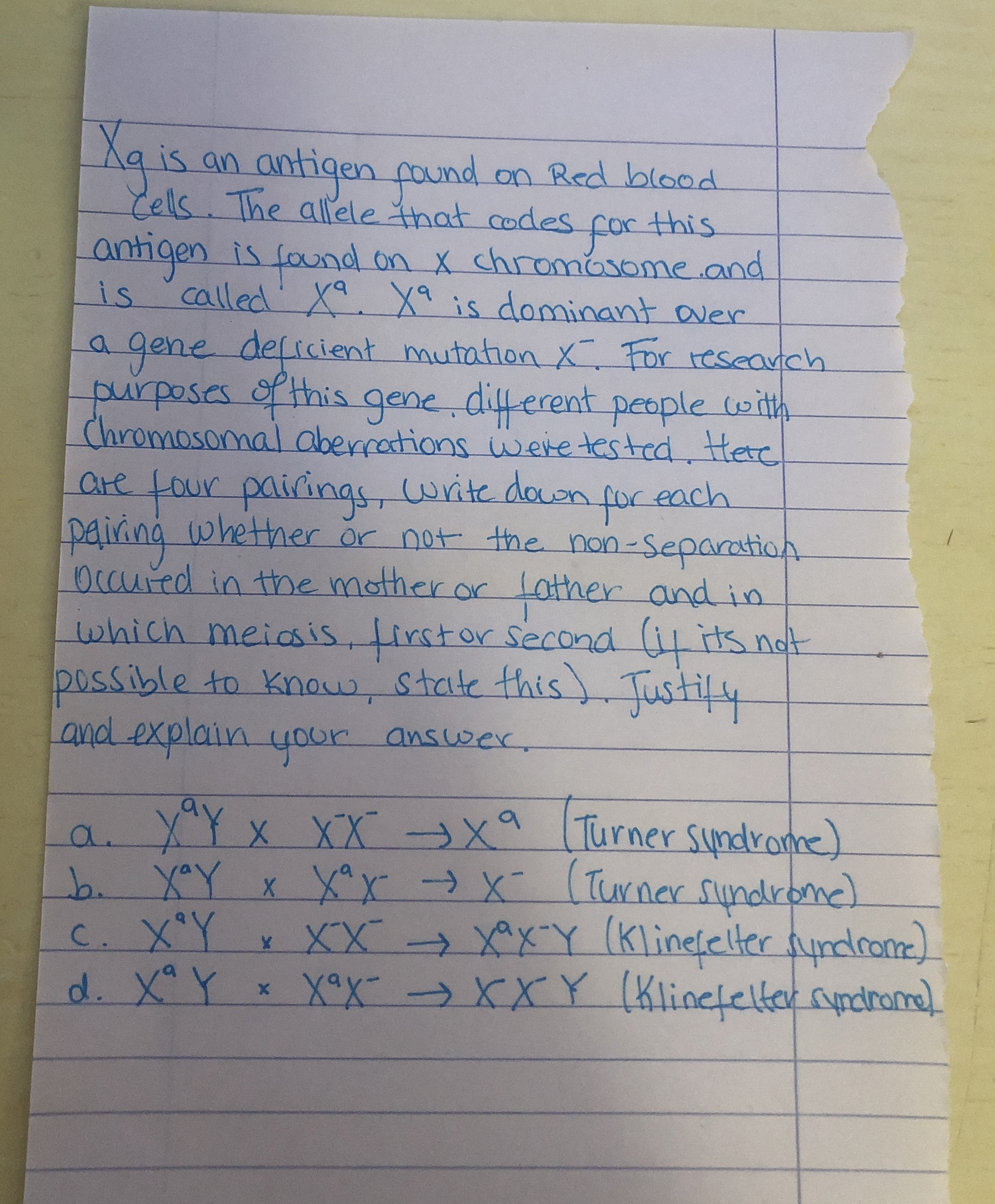 Solved Xg is an antigen found on Red blood Cells. The allele | Chegg.com