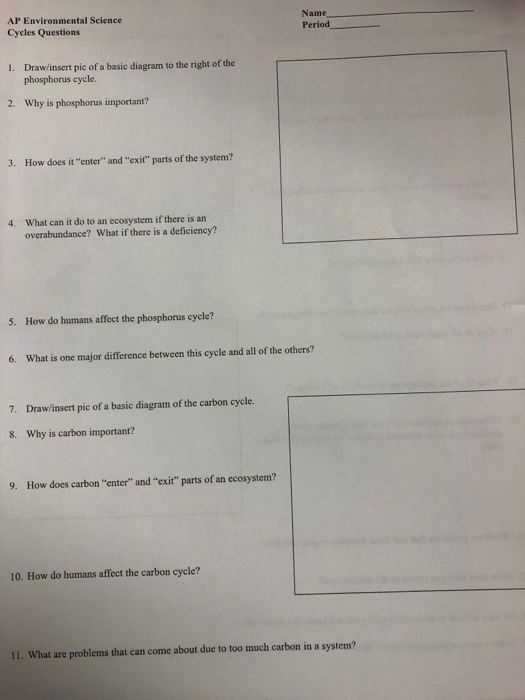 Solved AP Environmental Science Cycles Questions Name Period | Chegg.com