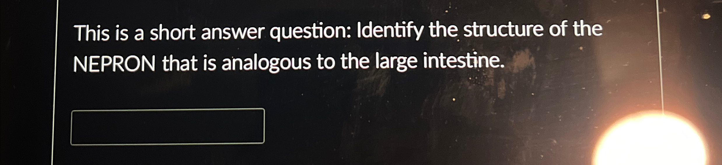 Solved This is a short answer question: Identify the | Chegg.com