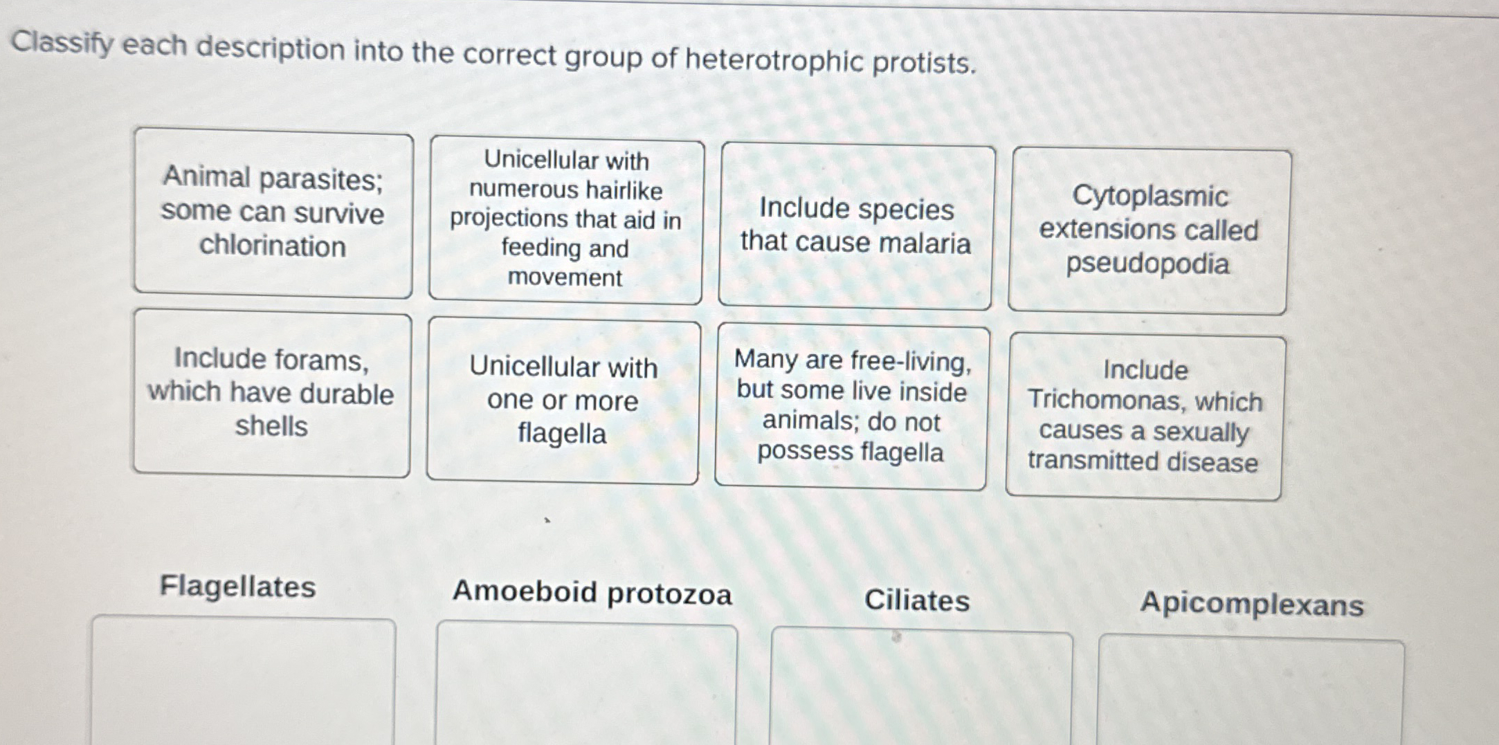 Solved Classify each description into the correct group of | Chegg.com