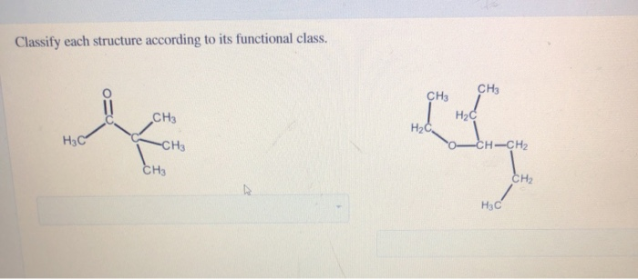 Solved Classify each structure according to its functional | Chegg.com