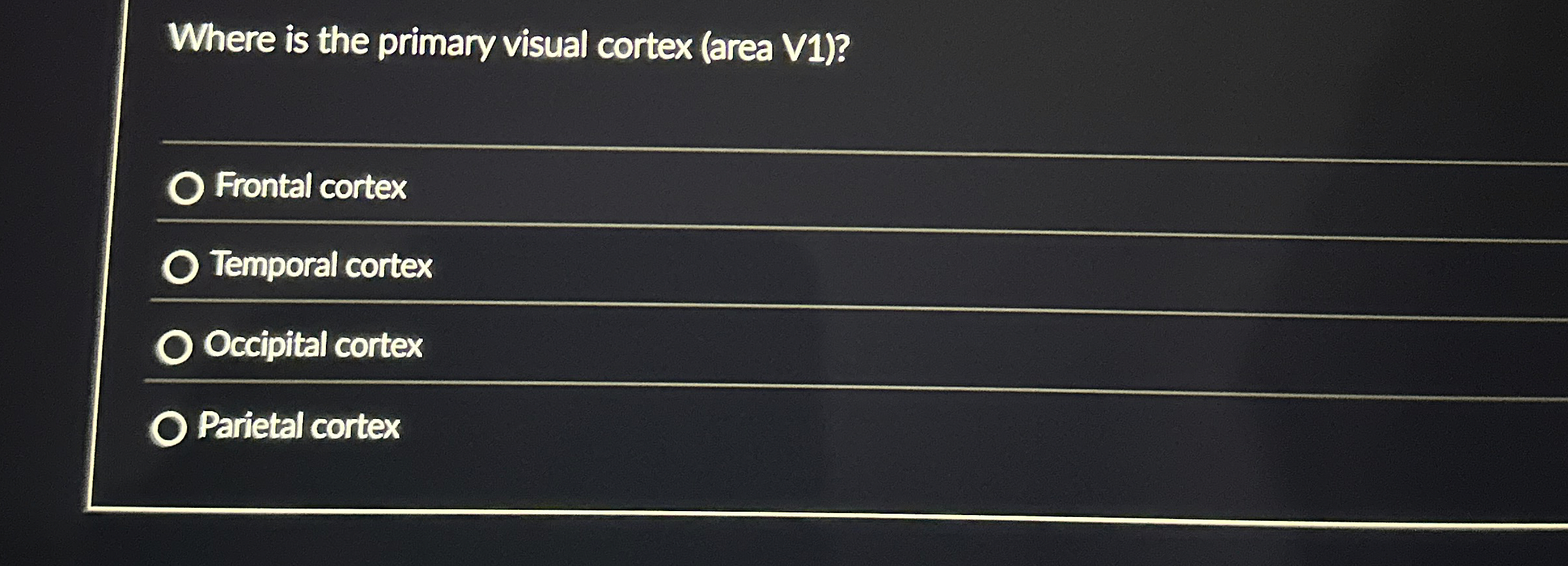 Solved Where is the primary visual cortex (area V1)?Frontal | Chegg.com