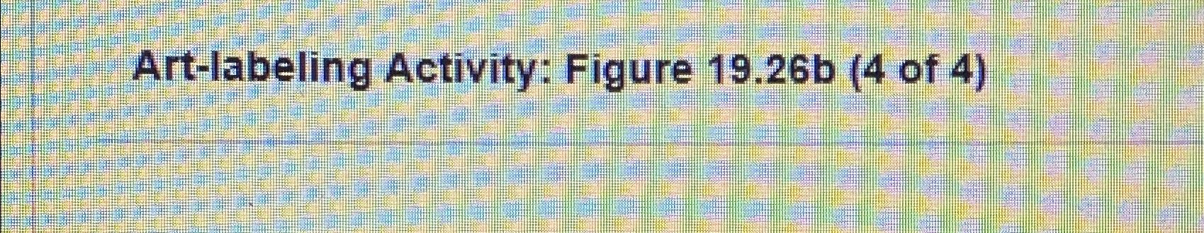 Solved Art-labeling Activity: Figure 19.26b (4 ﻿of 4) | Chegg.com