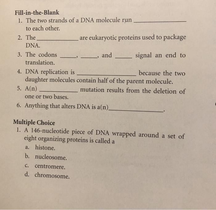 Solved Fill-in-the-Blank 1. The two strands of a DNA | Chegg.com