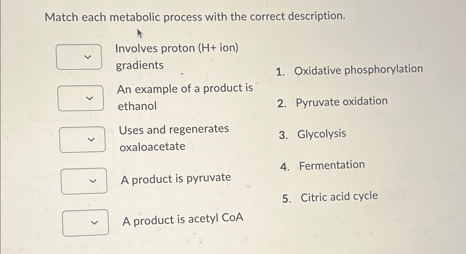 Solved Match each metabolic process with the correct | Chegg.com