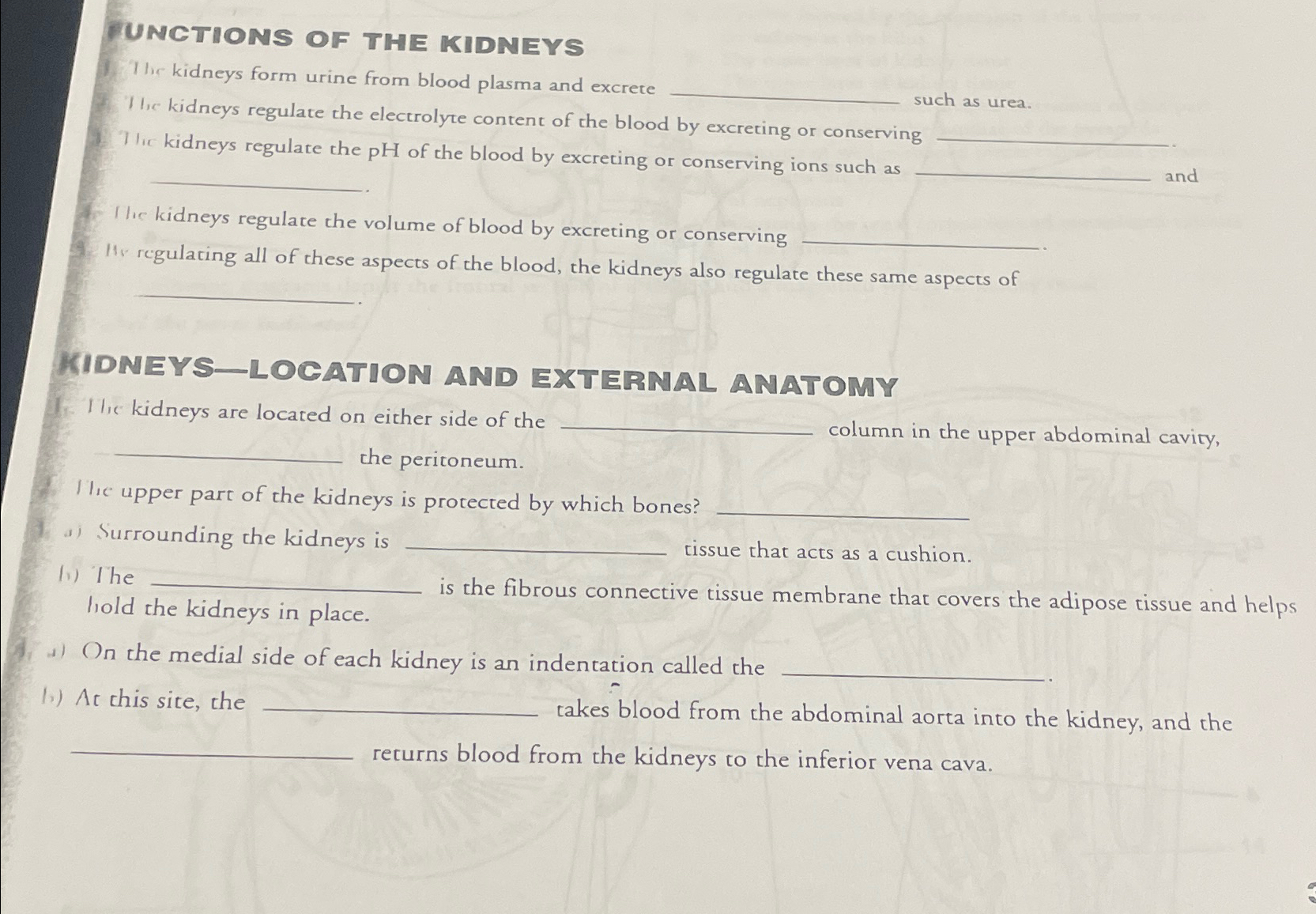 Solved UNGTIONS OF THE KIDNEYSThe kidneys form urine from | Chegg.com