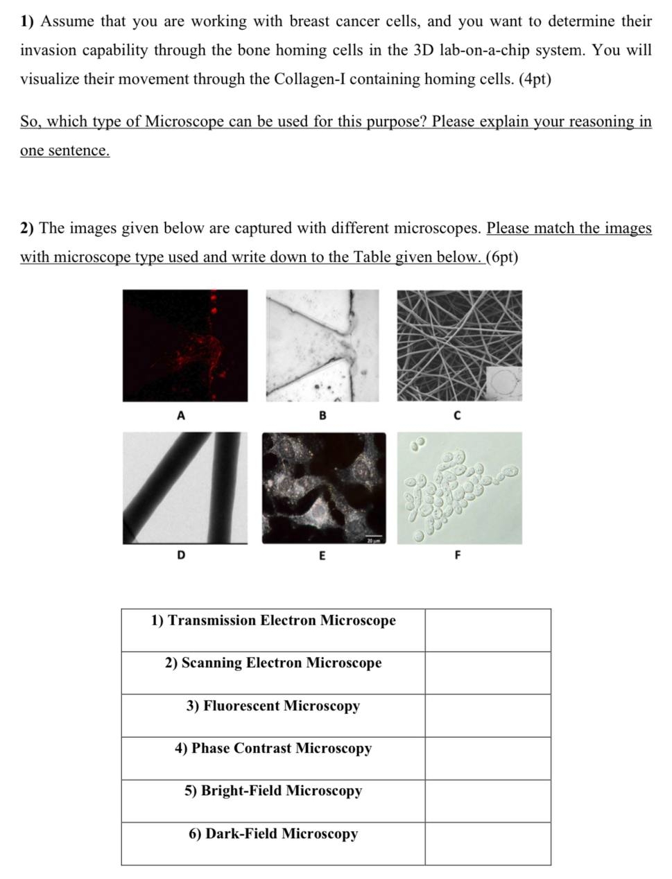 Solved Assume that you are working with breast cancer cells, | Chegg.com