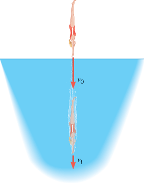 Solved A 59.0-kg person, standing on a diving board, dives | Chegg.com