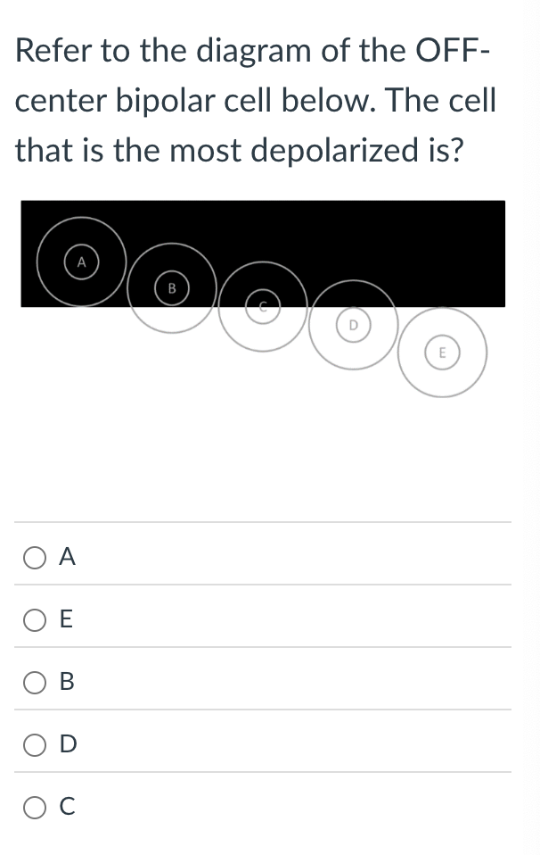 Solved Refer to the diagram of the OFF-center bipolar cell | Chegg.com