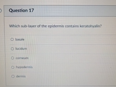 Solved Question 17Which sub-layer of the epidermis contains | Chegg.com