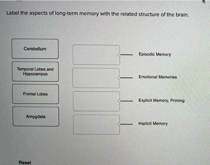 1 Label the aspects of long-term memory with the | Chegg.com