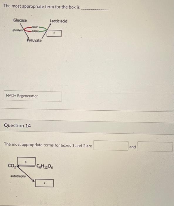 Solved The most appropriate term for the box is Question 14 | Chegg.com