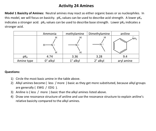 Solved Activity 24 ﻿AminesModel 1 ﻿Basicity of Amines: | Chegg.com