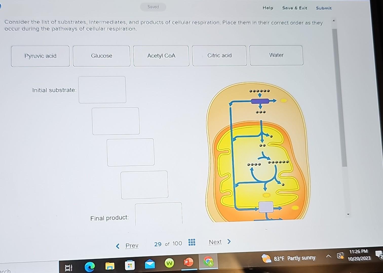 Solved Consider the list of substrates, intermedlates, and | Chegg.com