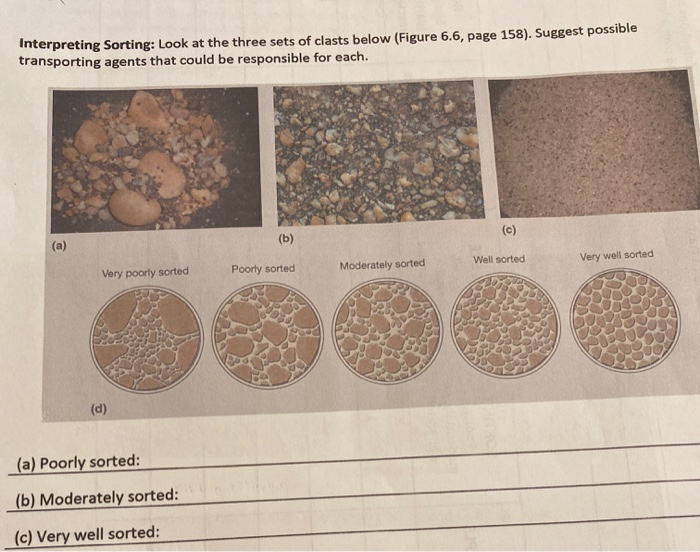 Solved Interpreting Sorting: Look at the three sets of | Chegg.com