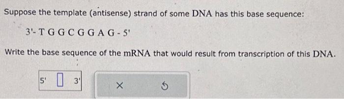 Solved Suppose the template (antisense) strand of some DNA | Chegg.com