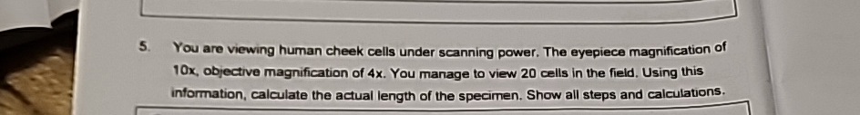 Solved You are viewing human cheek cells under scanning | Chegg.com