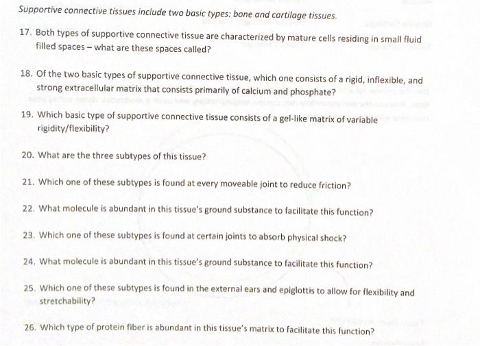 Solved Supportive connective tissues include two basic | Chegg.com