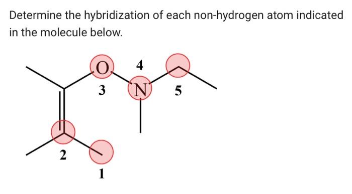 Solved Determine the hybridization of each non-hydrogen atom | Chegg.com