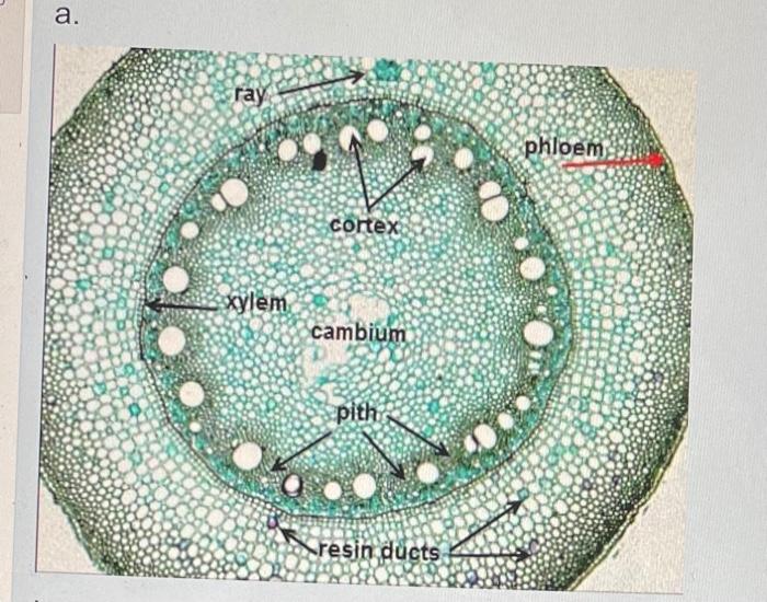 Solved EXPERIMENT 3: Which of the following is a correctly | Chegg.com