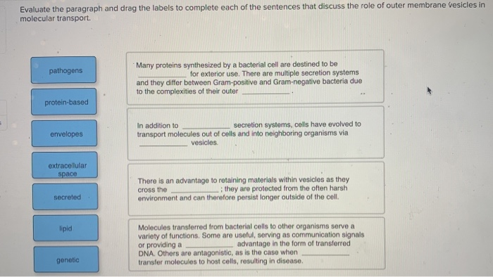 Solved Evaluate the paragraph and drag the labels to | Chegg.com