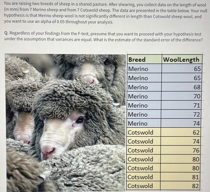 Solved You are raising two breeds of sheep in a shared | Chegg.com