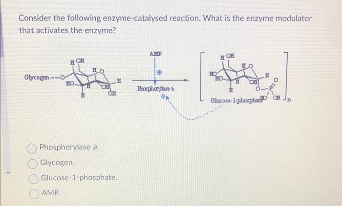 Solved Consider the following enzyme-catalysed reaction. | Chegg.com