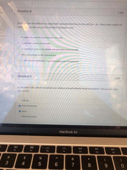 Solved D Question 8 1 pts Dictyostelium discoideum is a | Chegg.com