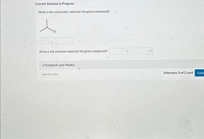 Solved Current Attempt in Progress What is the systematic | Chegg.com