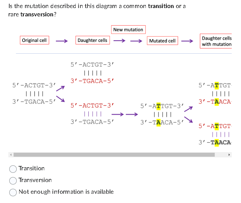 Solved Is the mutation described in this diagram a common | Chegg.com