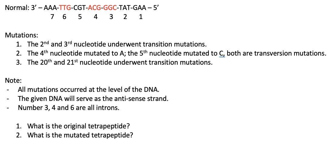 Solved Mutations: 1. The 2nd and 3rd nucleotide underwent | Chegg.com