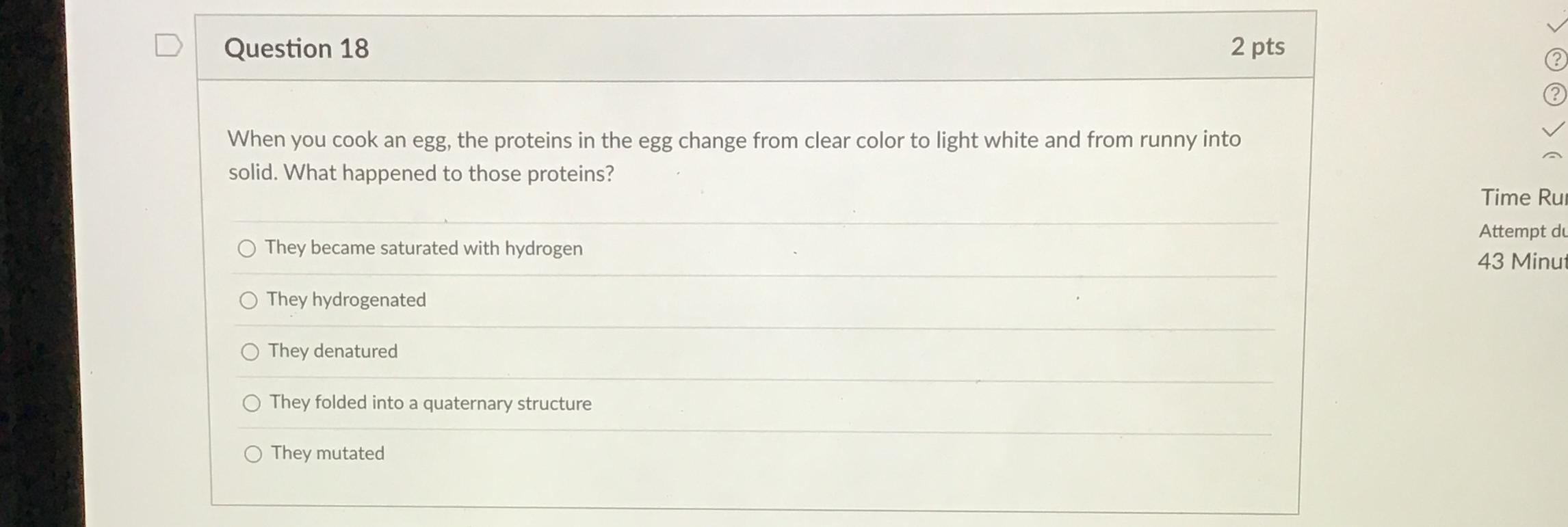 Solved Question 182 ﻿ptsWhen you cook an egg, the proteins | Chegg.com
