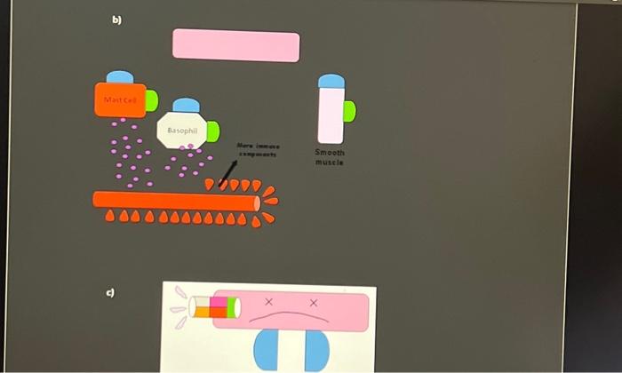Solved 21) List the three outcomes of the complement | Chegg.com