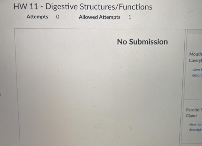 Solved Digestive Structures Rubric Criteria Ratings Pts 1 | Chegg.com