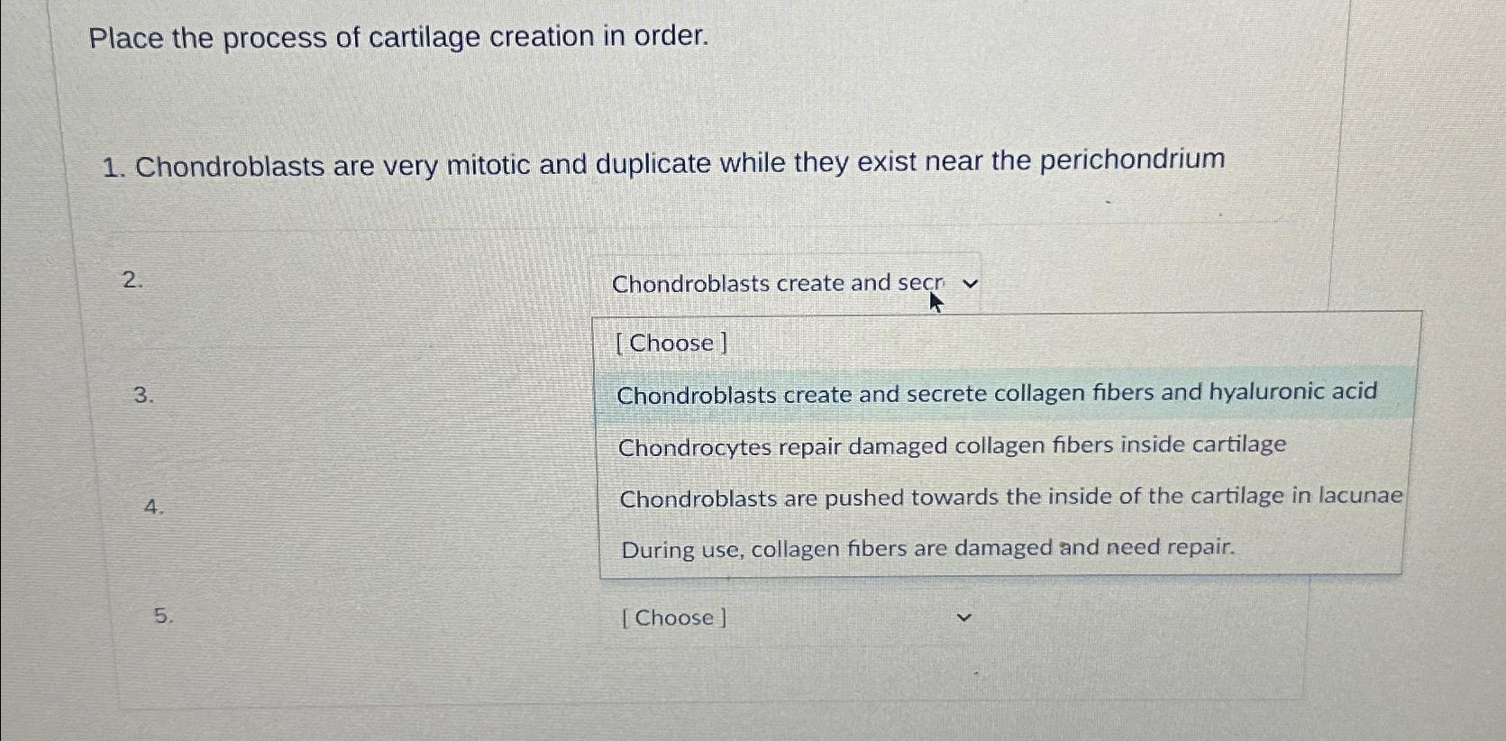 Solved Place the process of cartilage creation in | Chegg.com