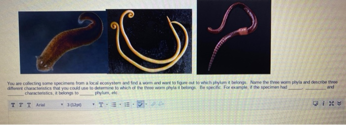 Solved You are collecting some specimens from a local | Chegg.com