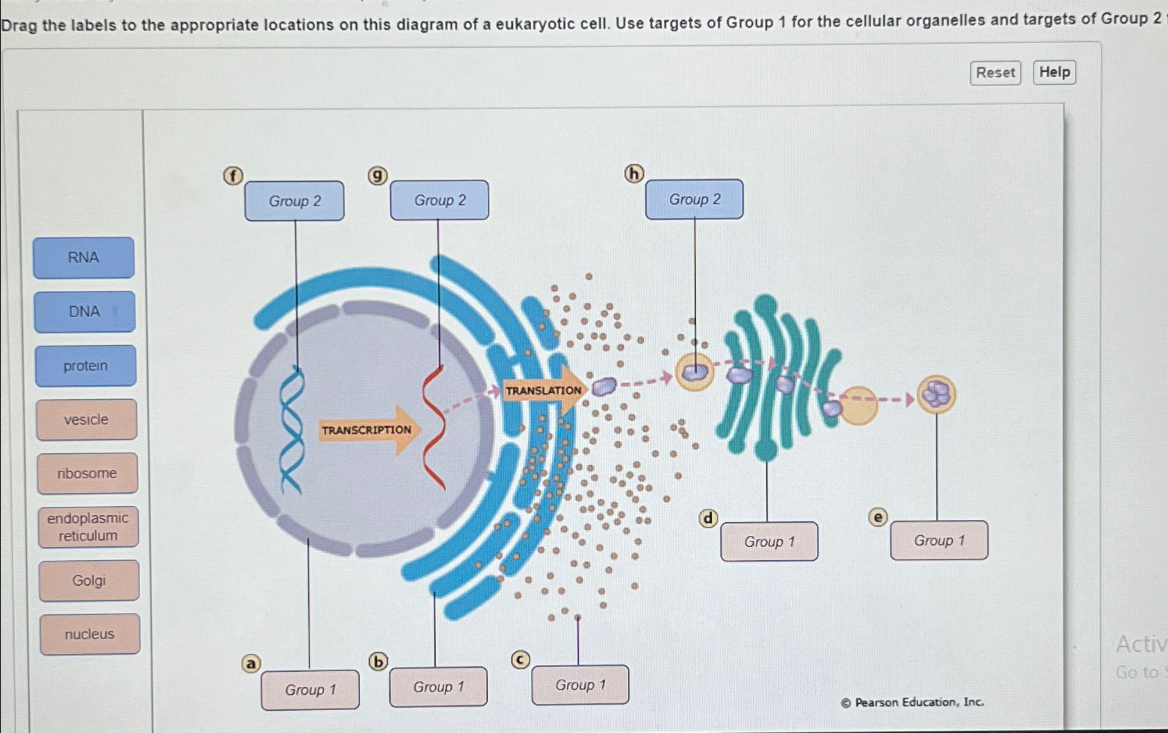 Solved Drag the labels to the appropriate locations on this | Chegg.com