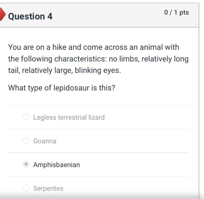 Solved Which of the following are the correct phylogenetic | Chegg.com
