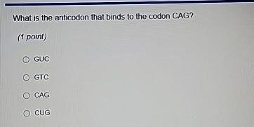 Solved What is the anticodon that binds to the codon CAG?(1 | Chegg.com