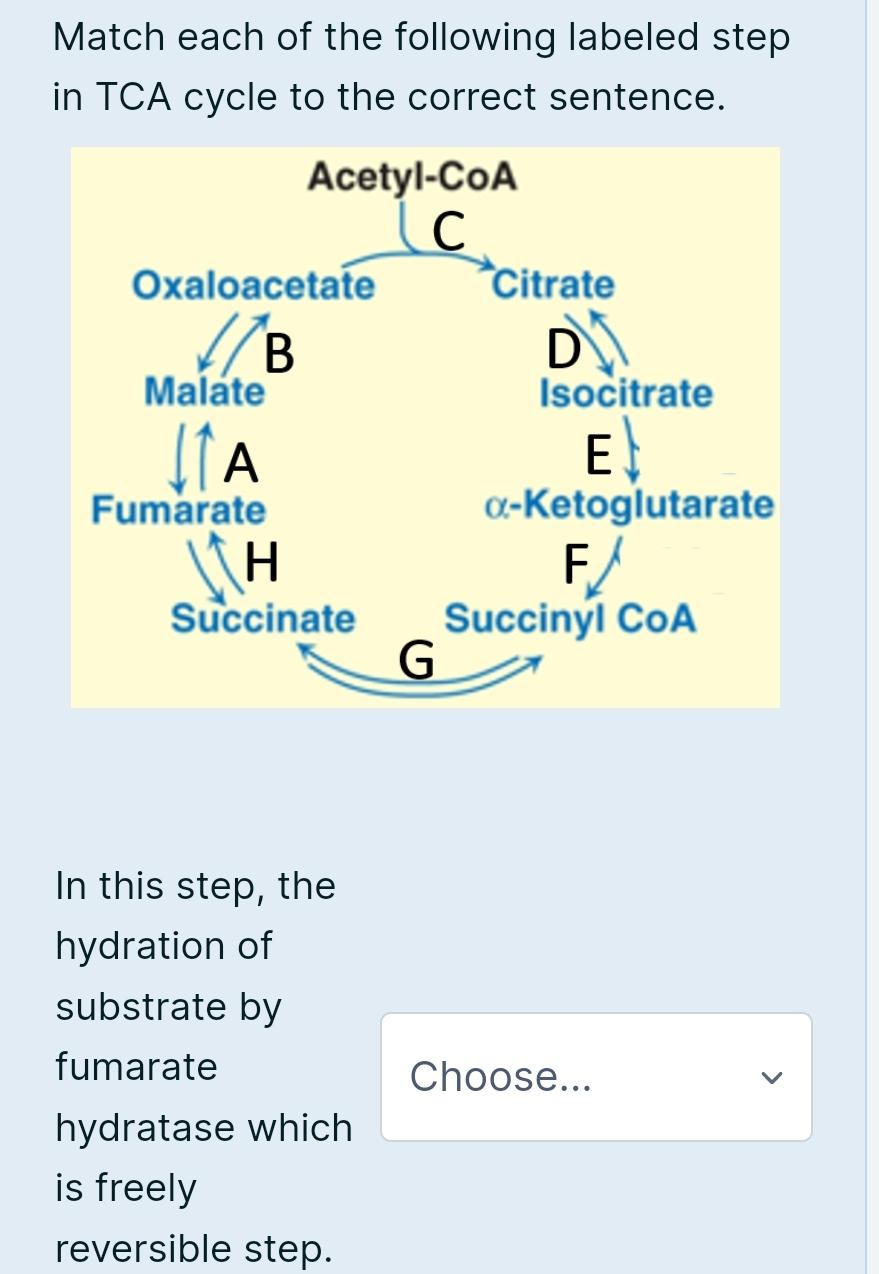 Solved Match each of the following labeled step in TCA cycle | Chegg.com