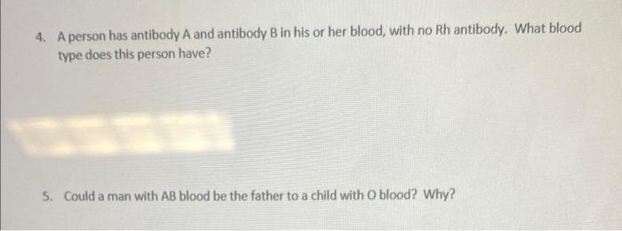 Solved 1. What is the main function of RBCs? 2. What surface | Chegg.com