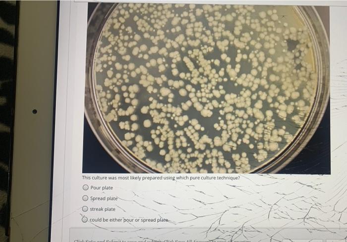 Solved QUESTION 17 When preparing a streak plate which of | Chegg.com
